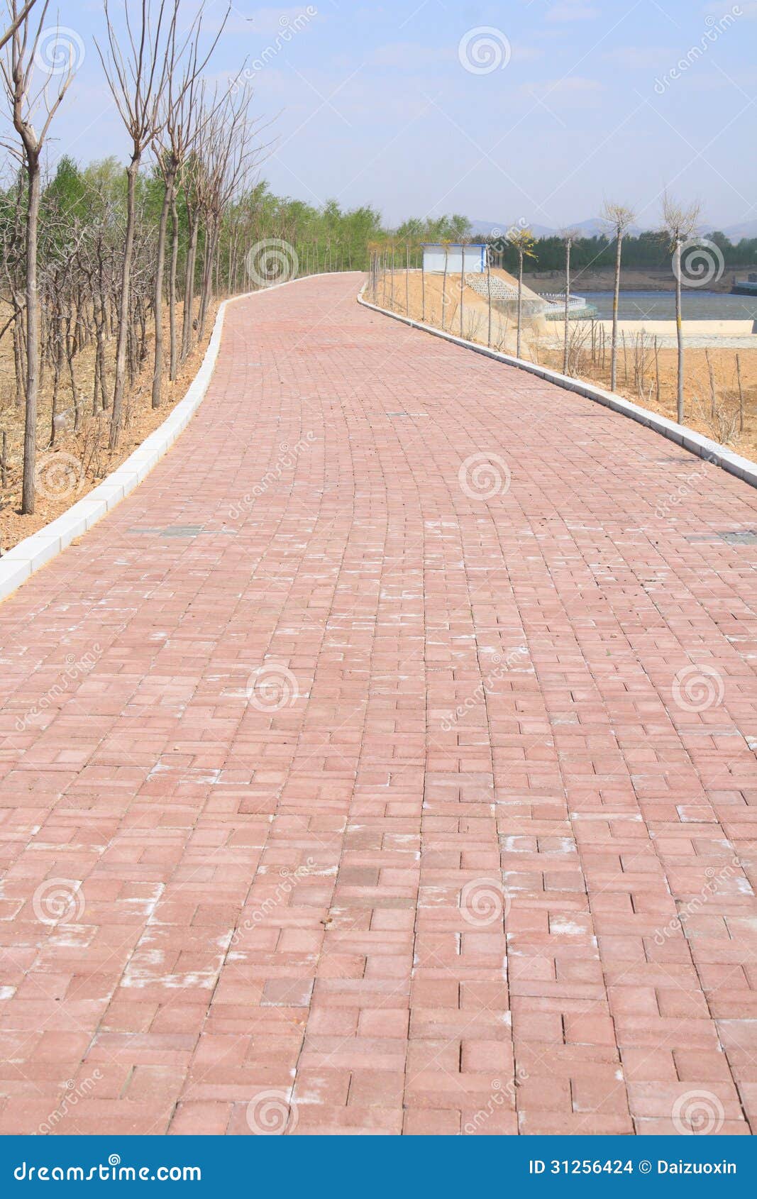 Brick Sidewalk stock photo. Image of plant, curve, design - 31256424