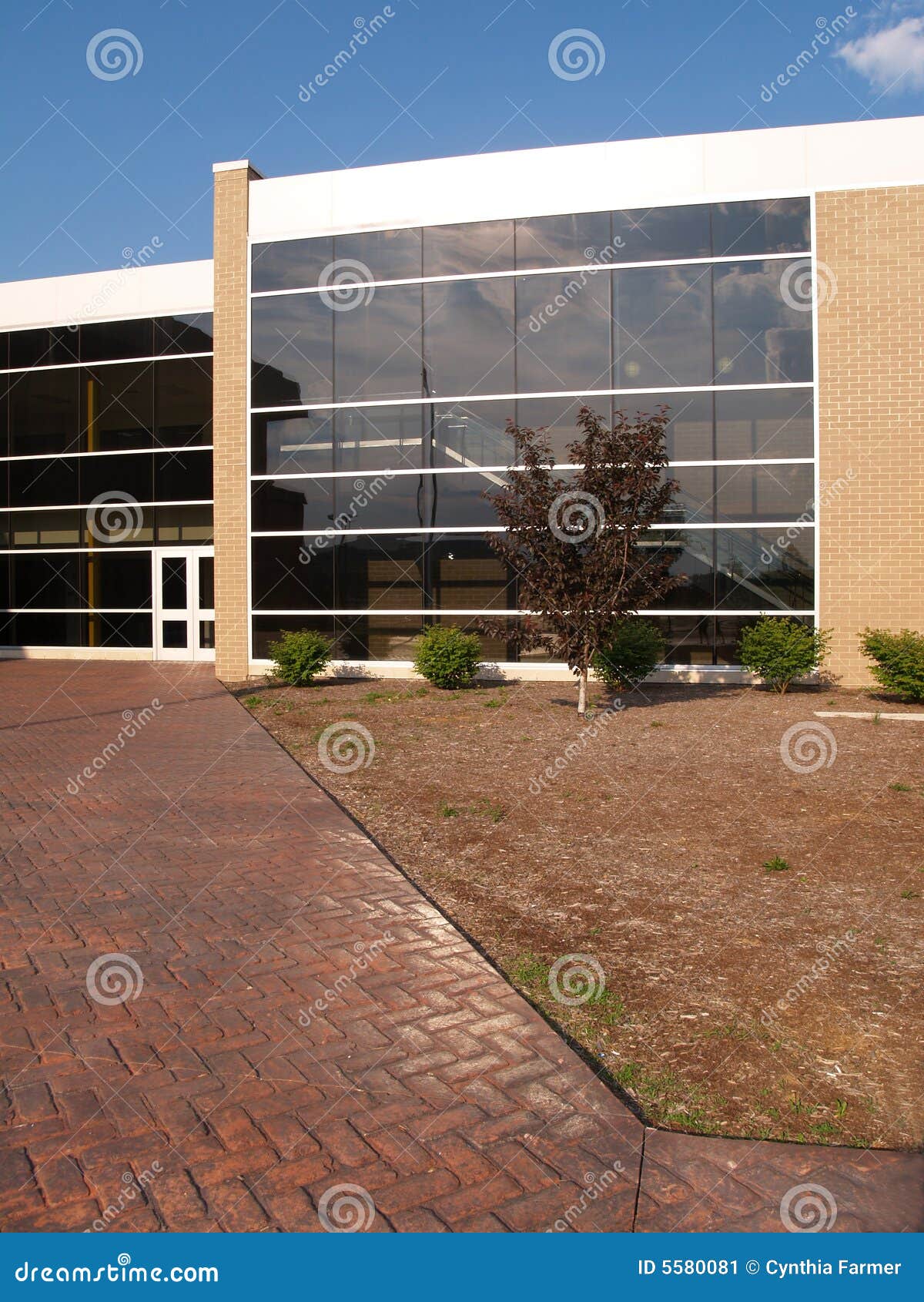 Glass Office Building Front