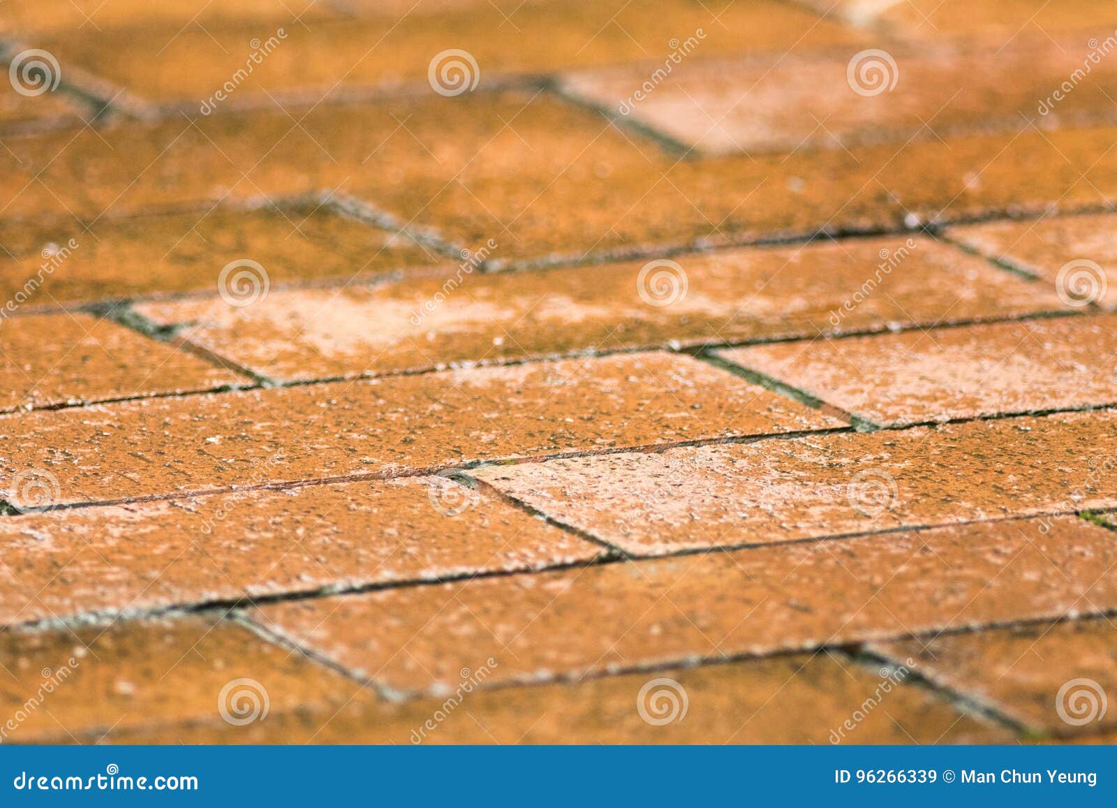 A Brick Sidewalk in Rainy Day Stock Image - Image of effects ...