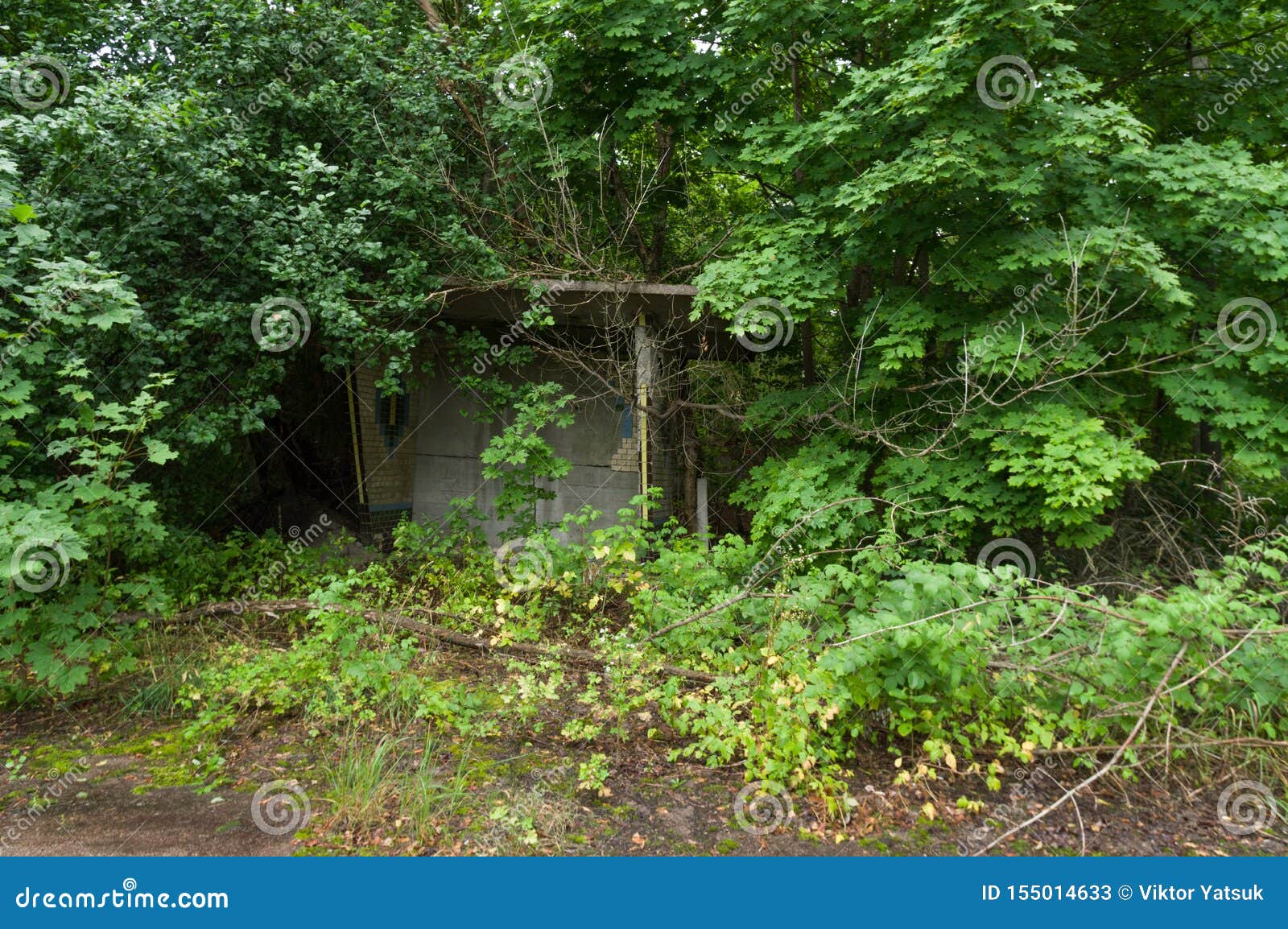 Brick Stop in the Forest. Old Bus Stop in the Forest Stock Image ...