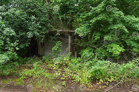 Brick Stop in the Forest. Old Bus Stop in the Forest Stock Image ...