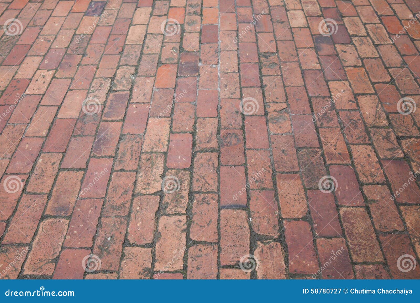 Brick Street Texture