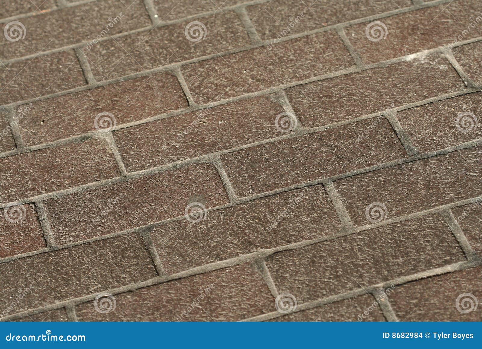 Brick Texture stock photo. Image of cement, texture, bricks - 8682984