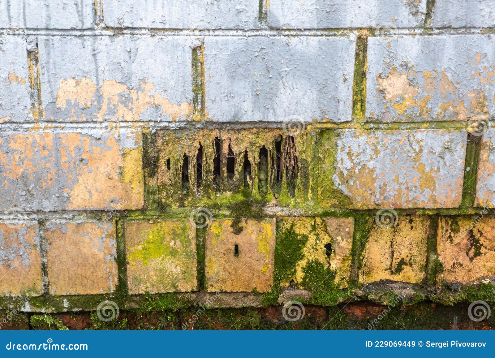 Brick Texture of the Basement of the House with Rusty Stains and Mold ...