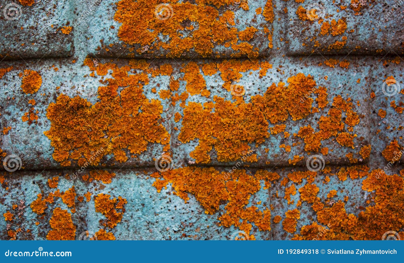 Brick Textured Background with Moss Texture Stock Photo - Image of ...