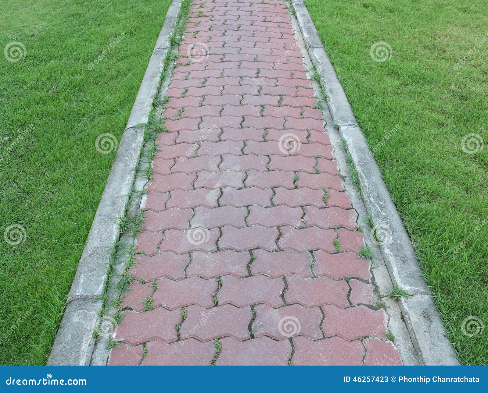 Brick Walk Path in a Garden with Lush Grass Stock Image - Image of ...