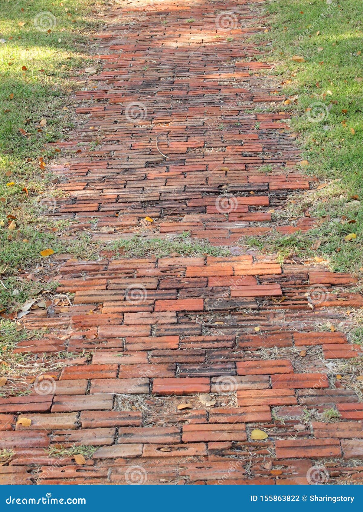 The brick walkway stock photo. Image of line, pattern - 155863822