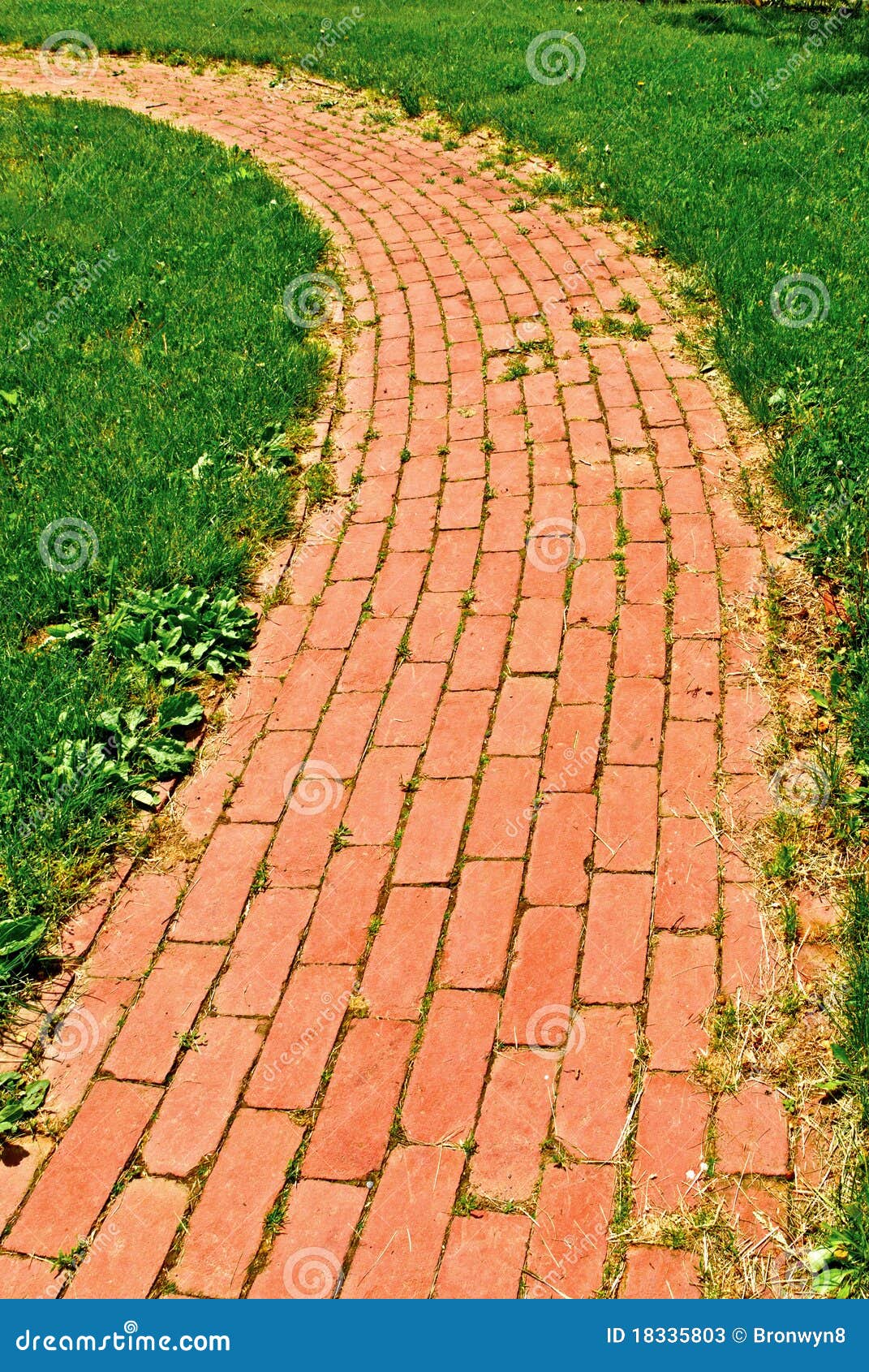 Brick Walkway stock image. Image of growing, pathway - 18335803