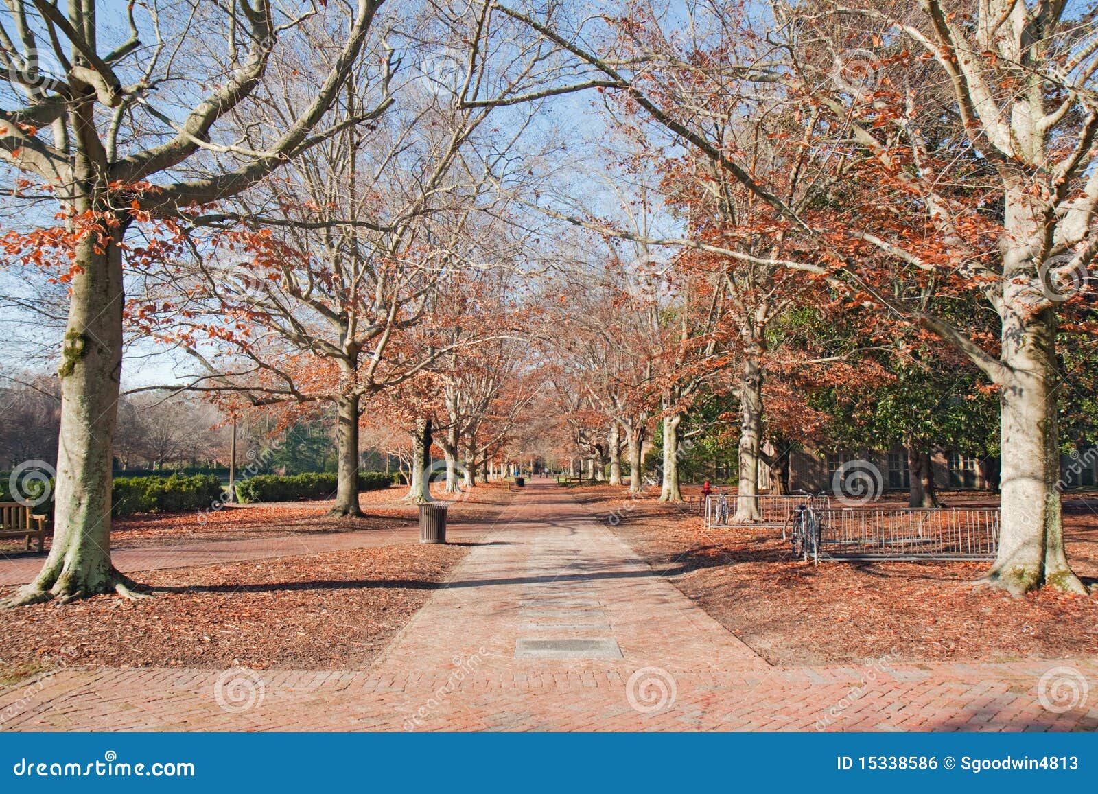 Brick walkway in autumn stock photo. Image of sunny, outdoor - 15338586