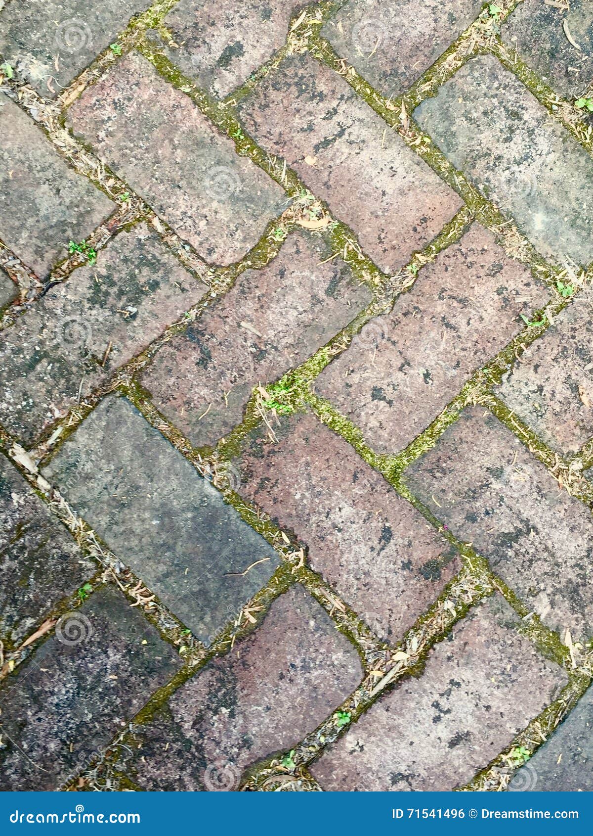 Brick Walkway stock photo. Image of pattern, walkway - 71541496