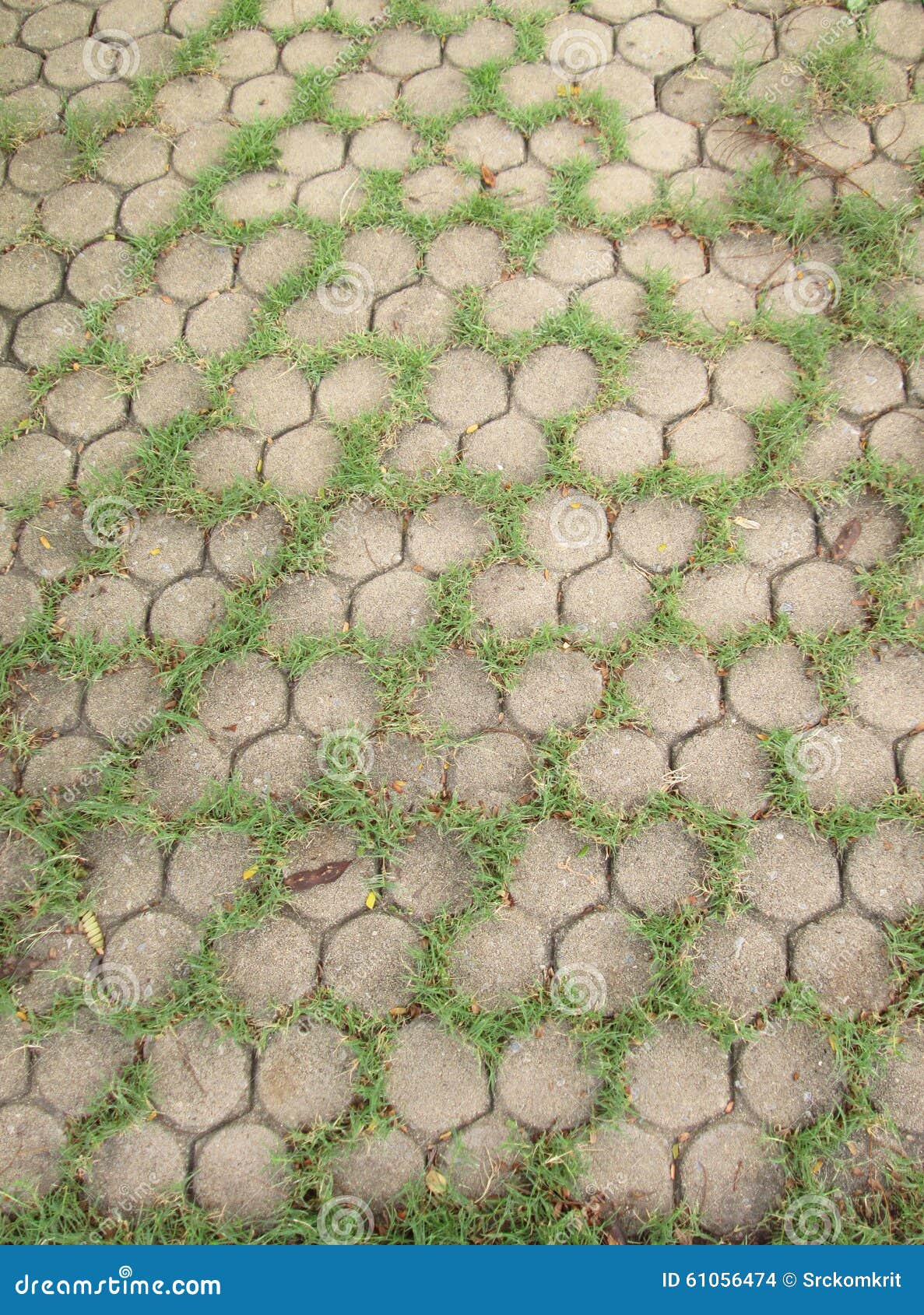 Brick walkway with grass stock photo. Image of pavement - 61056474