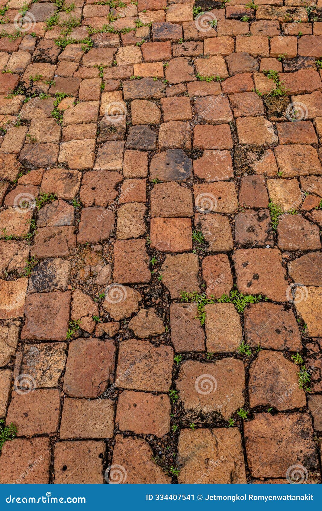 Red Bricks Make a Path and Grass Grows in the Gaps Stock Image - Image ...