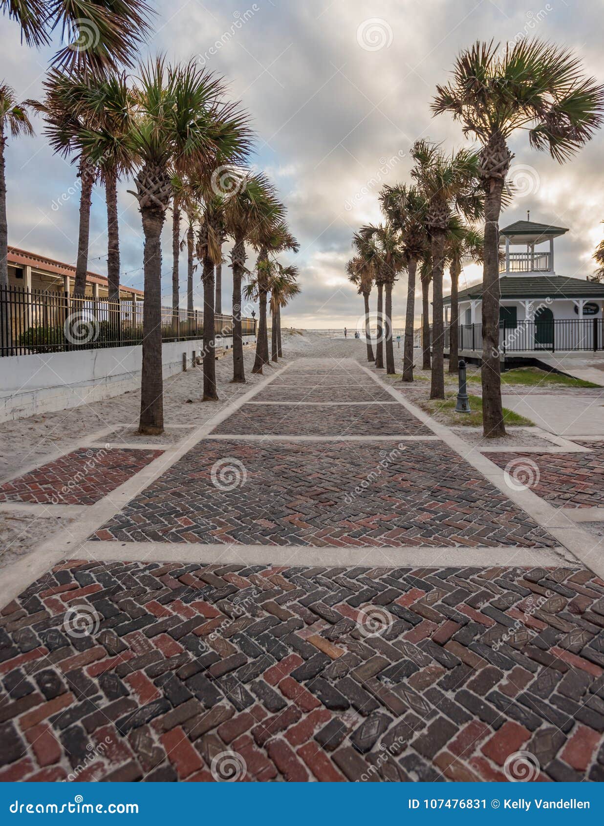Brick Walkway through Palm Trees Stock Image - Image of vacation, trees ...