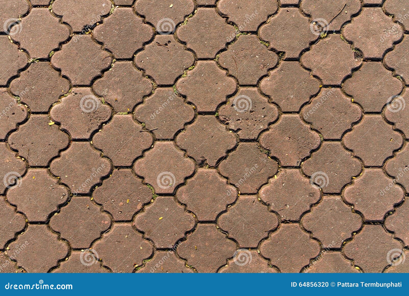 Brick walkway stock photo. Image of color, concrete, scene - 64856320