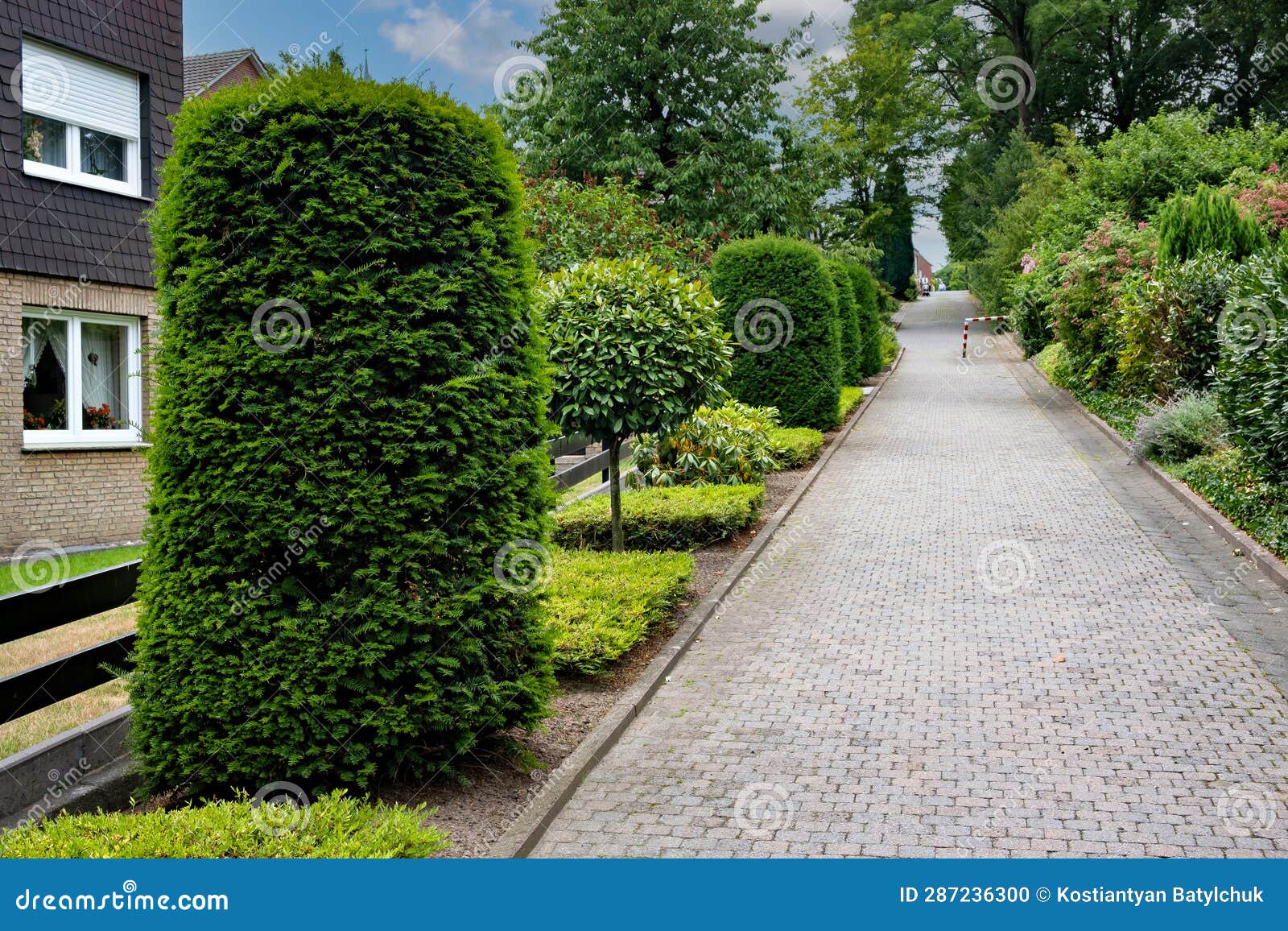 Brick Walkway between Two Hedges and Brick Walkway in Front of House in ...