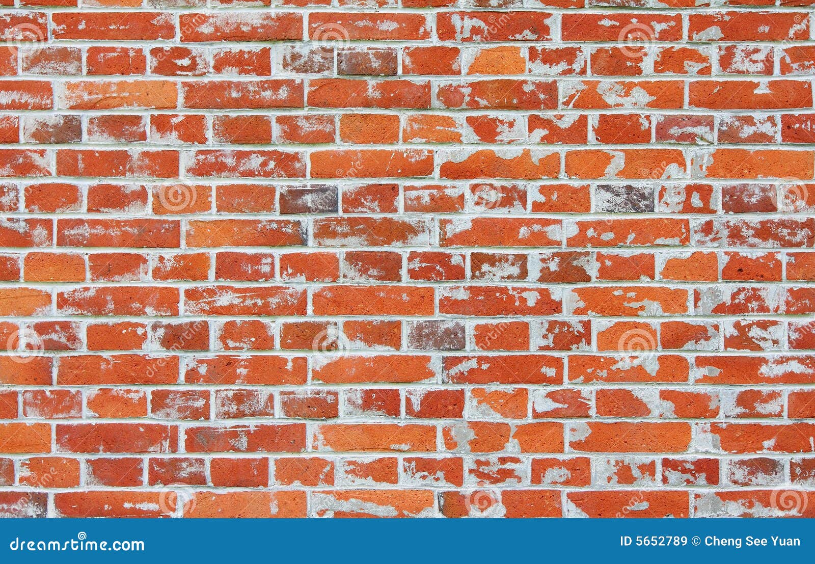 Brick Wall Picture. Image: 5652789