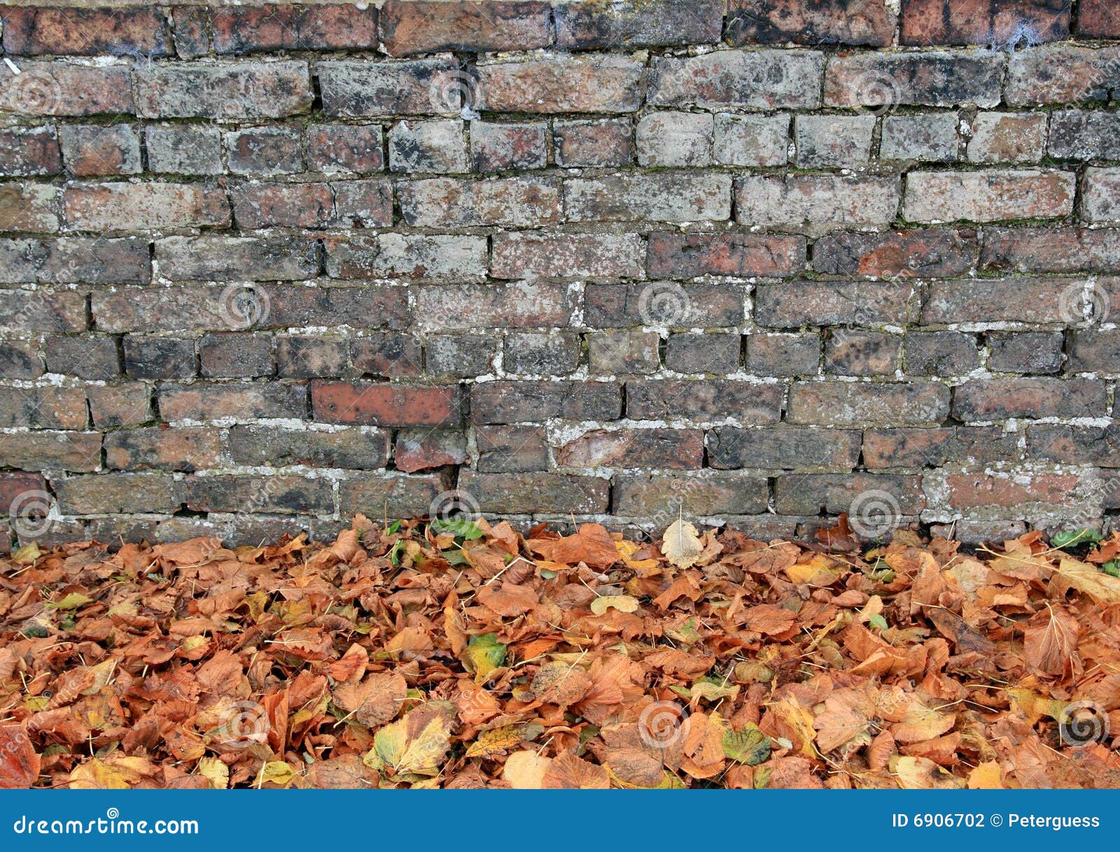 Brick Wall and Autumn Leaves Stock Photo - Image of orange, mortar: 6906702