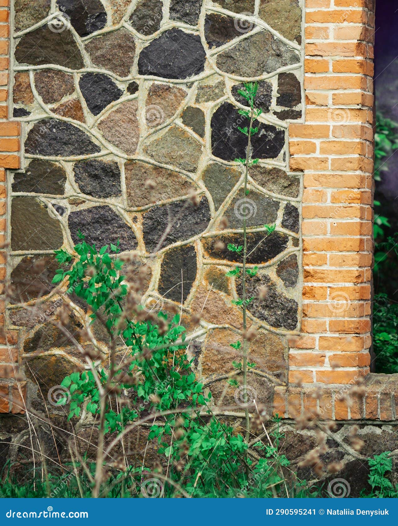 Brick Wall Background with Stone Orange Bricks Frame and Green Plants ...