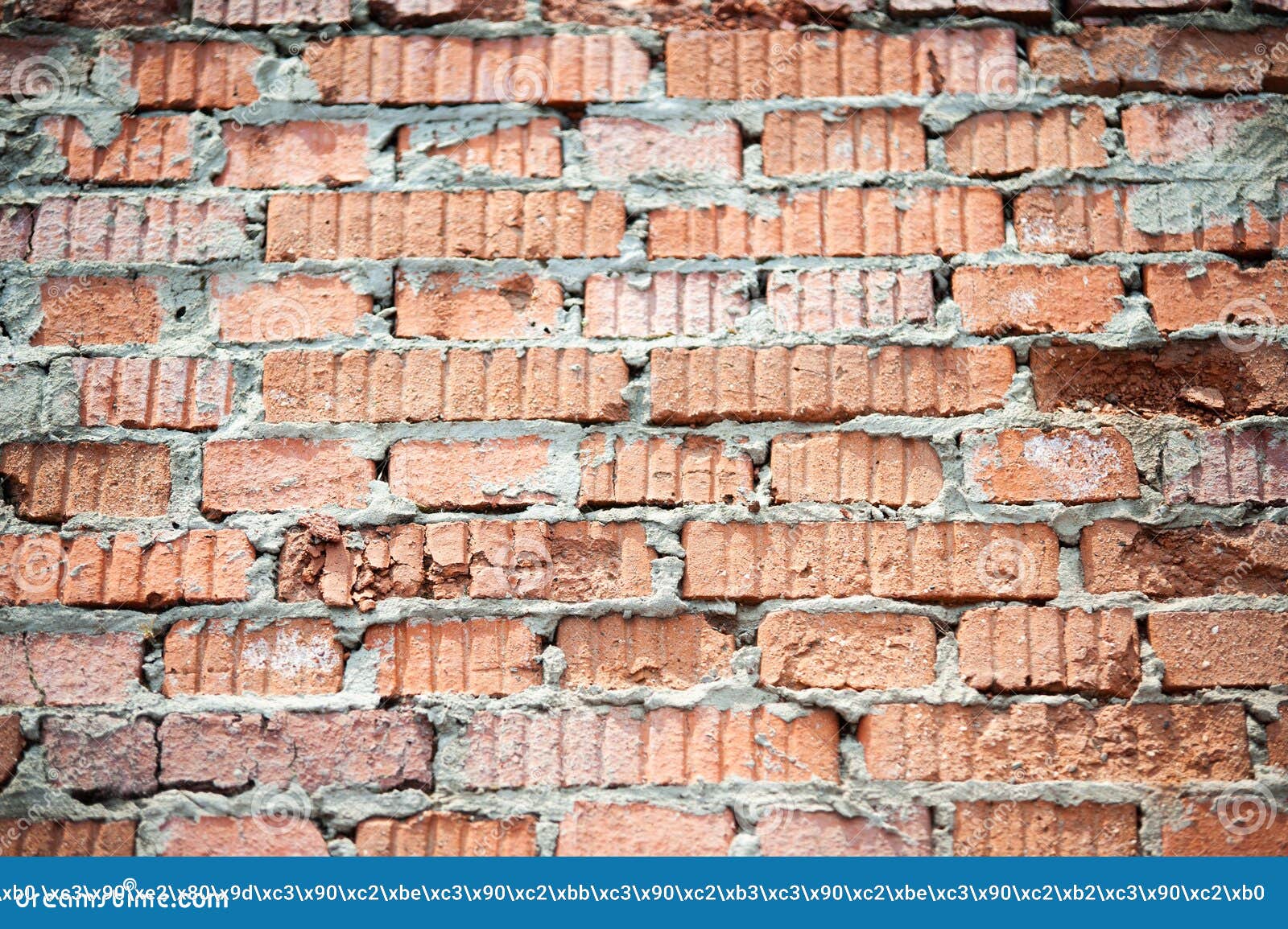 Brick Wall Background in Sunny Weather Stock Photo - Image of concrete ...