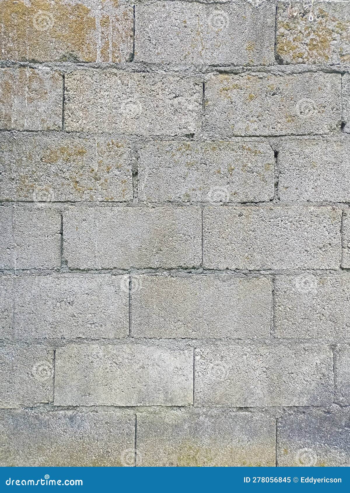 Brick wall in the backyard stock image. Image of floor - 278056845