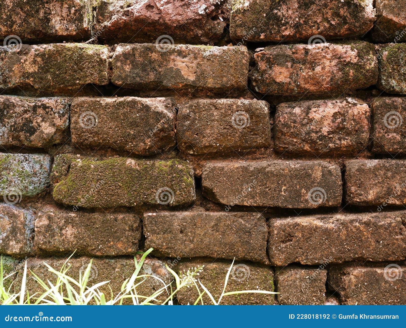 A brick wall being built stock photo. Image of constructing - 228018192