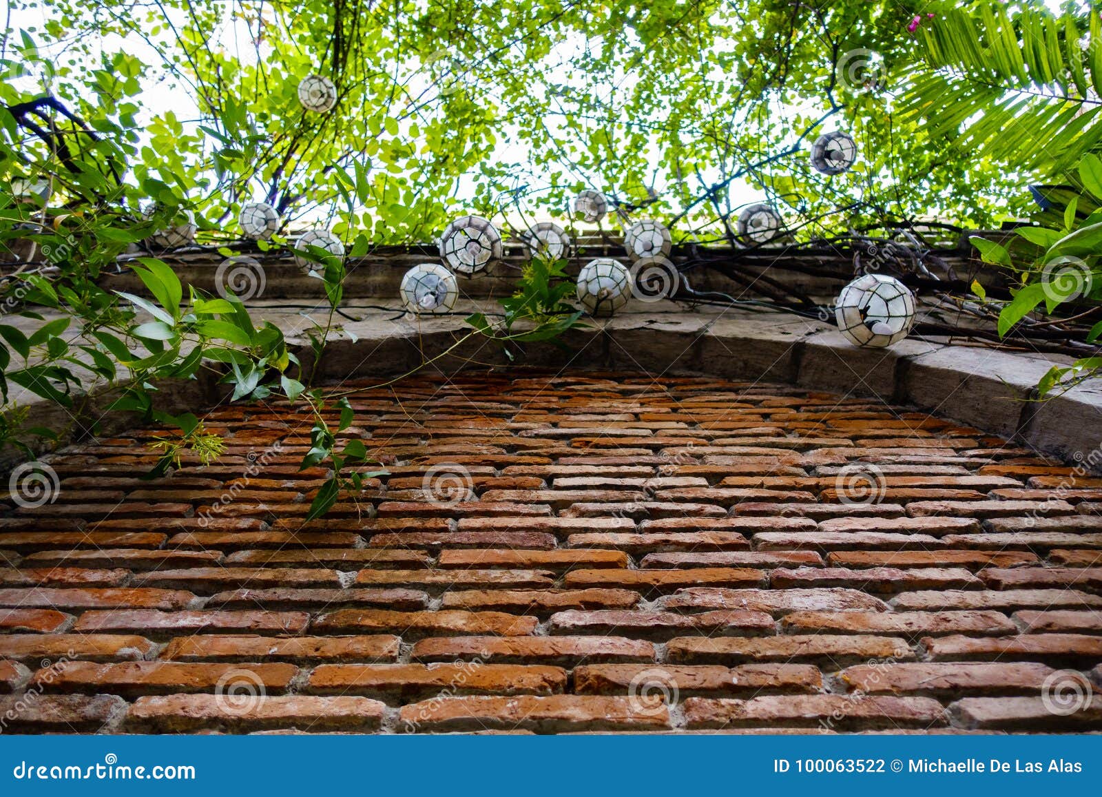 Brick Wall stock photo. Image of hanging, branches, treelight - 100063522