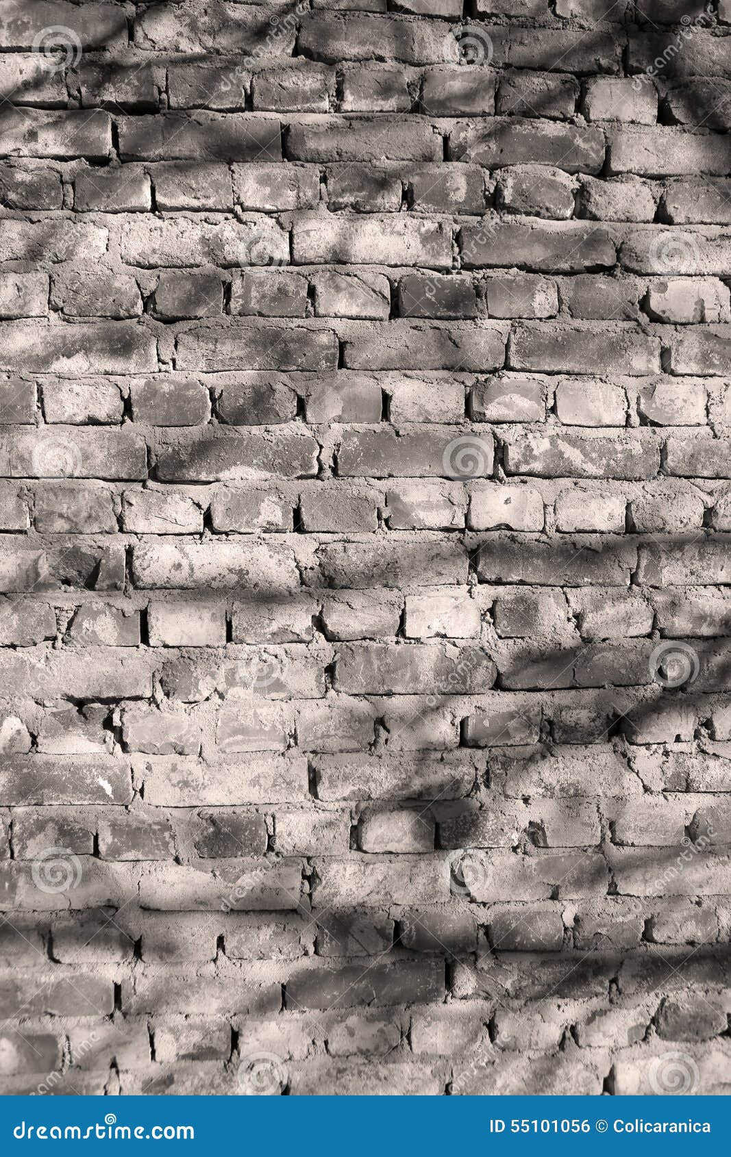 Brick wall stock photo. Image of built, branch, constructions - 55101056