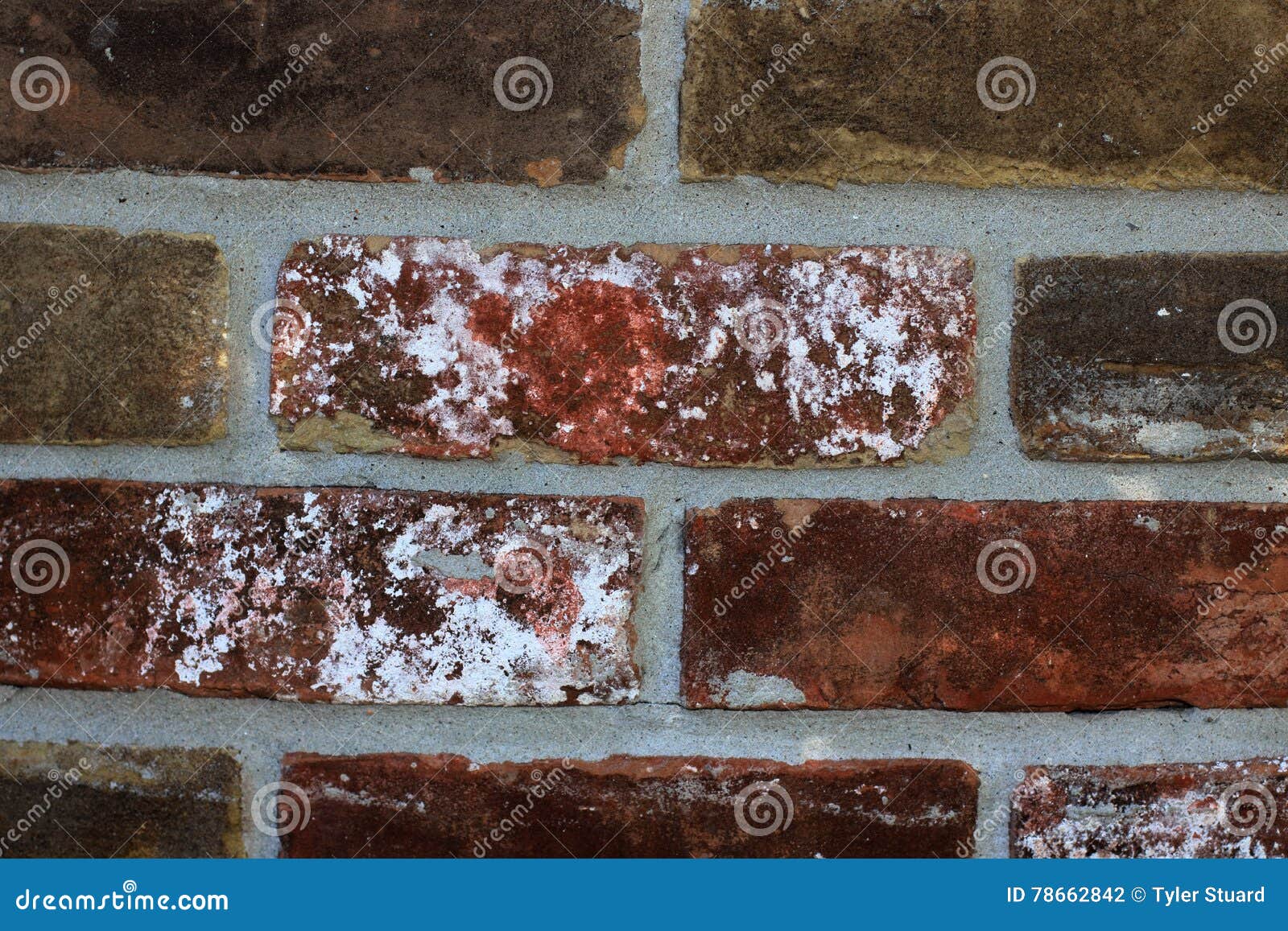 Brick Wall close-up stock photo. Image of fashioned, masonry - 78662842