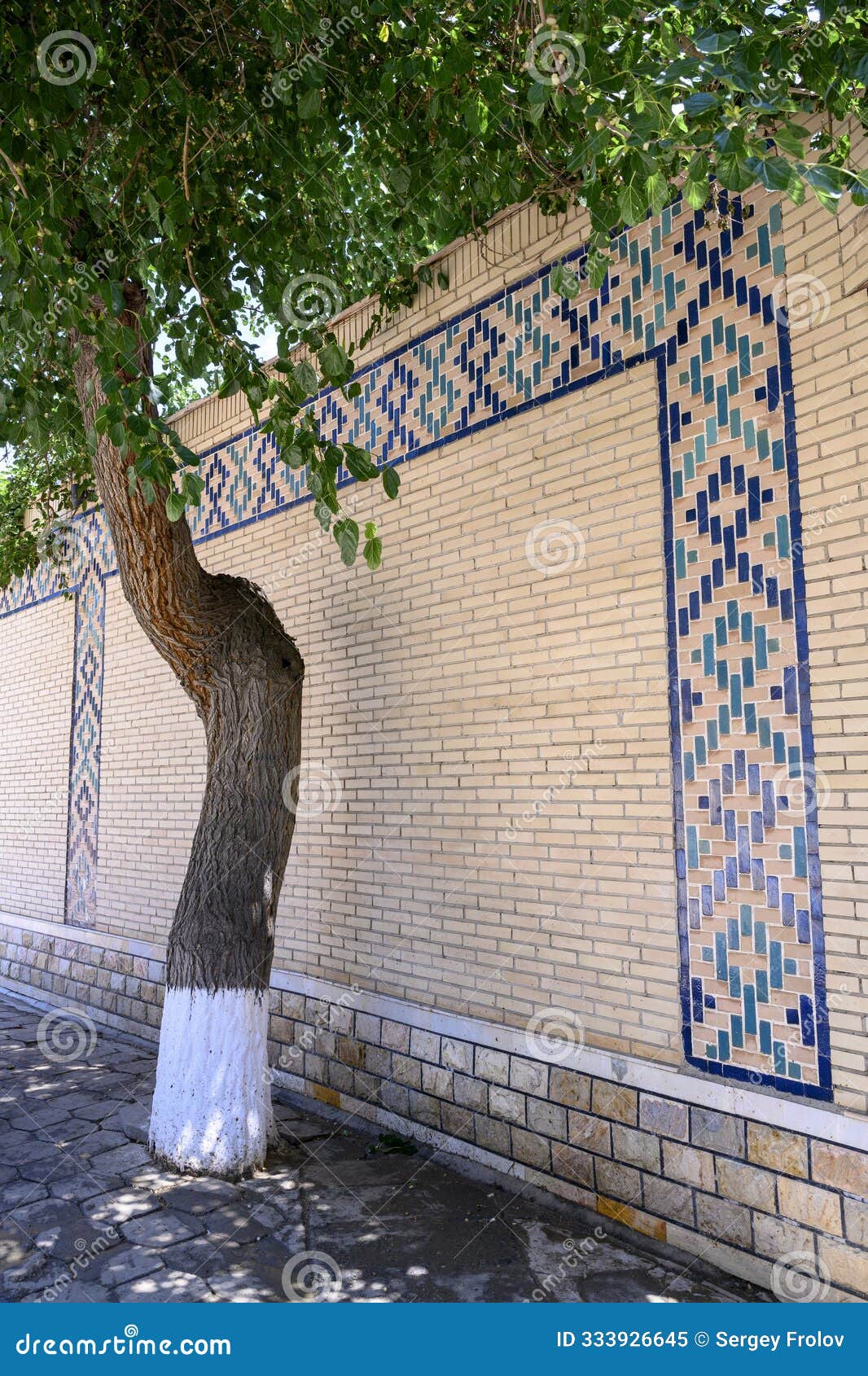 Cut Thick Tree Trunk. Wood Texture. Chainsaw Cuts Wood. Stock ...