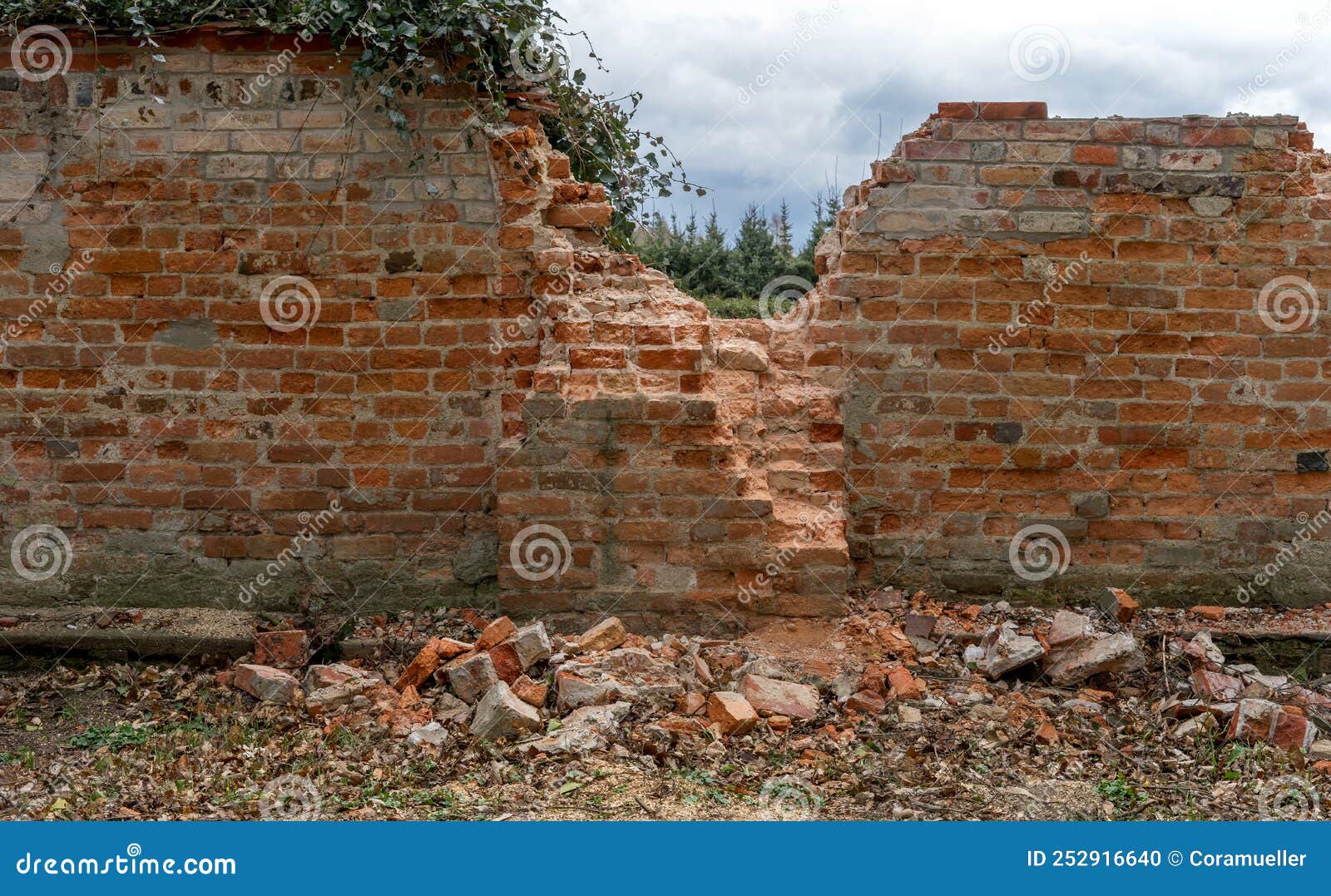 Wall Destroyed by the Storm Stock Photo - Image of trees, ruins: 252916640