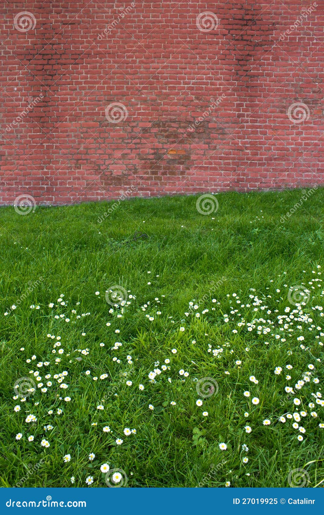 Brick wall on flower field stock image. Image of decorative - 27019925