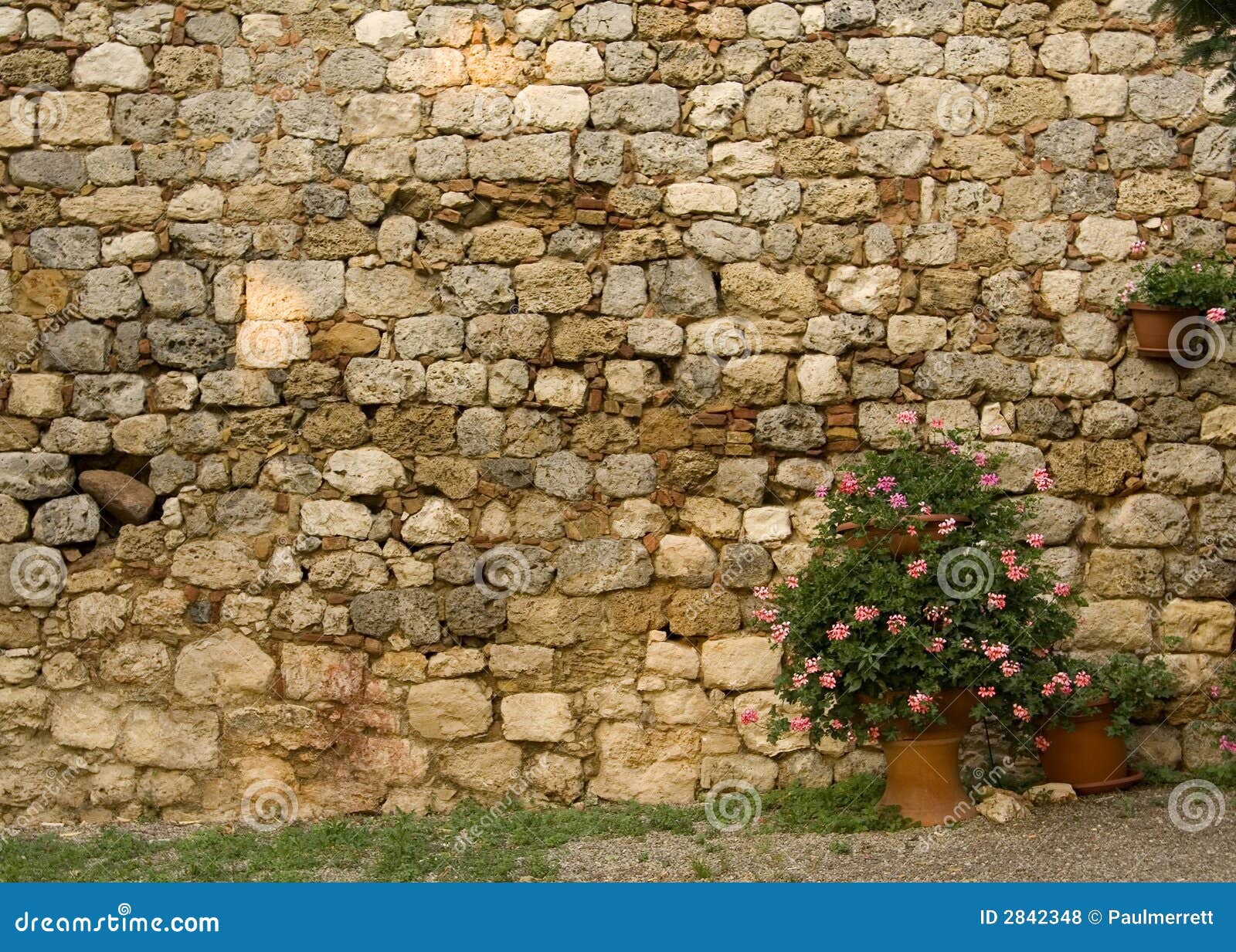 Brick wall with flowers stock photo. Image of rustic, village - 2842348