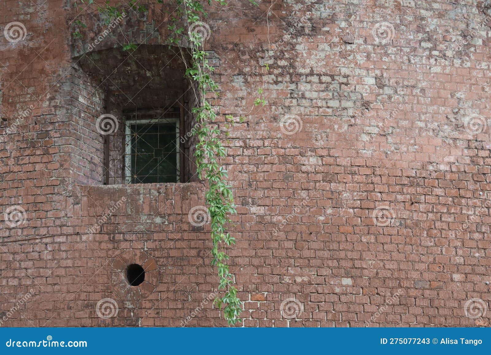 Brick wall of the fort stock image. Image of brick, fort - 275077243