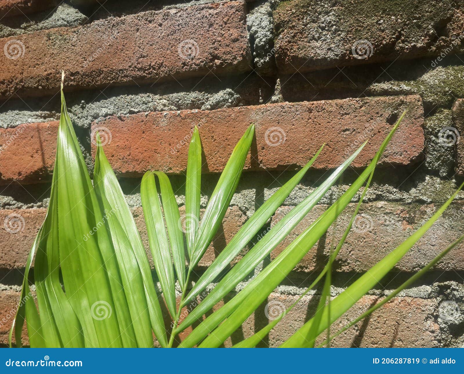Brick Wall in Front of Greenery 2 Stock Image - Image of brick, texture ...