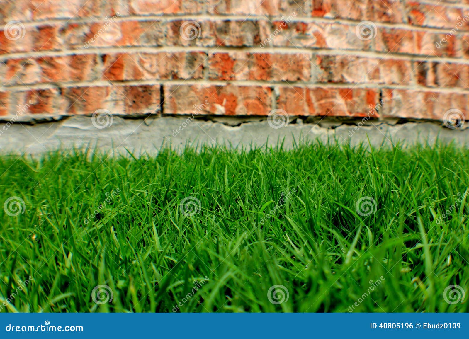 Brick Wall and Grass stock photo. Image of grass, backdrop - 40805196