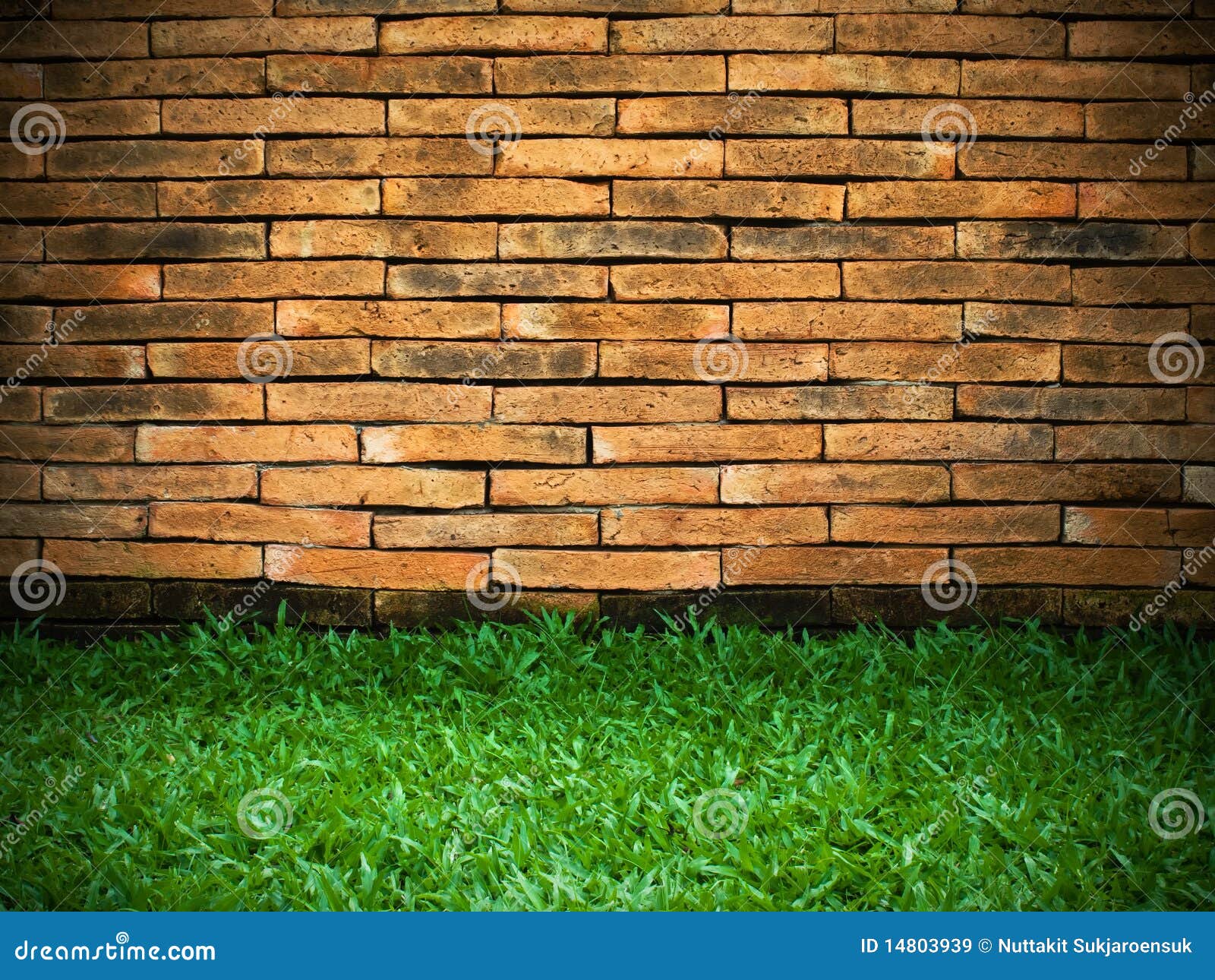 Brick Wall And Green Grass Royalty Free Stock Images - Image: 14803939