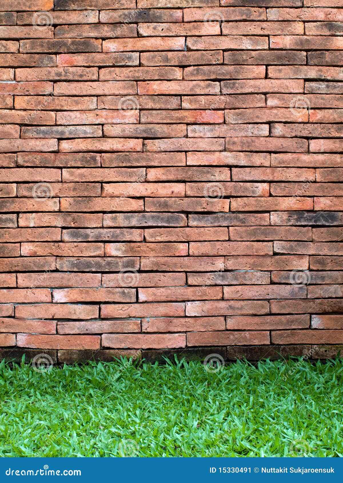 Brick Wall and Green Grass stock image. Image of cracked - 15330491