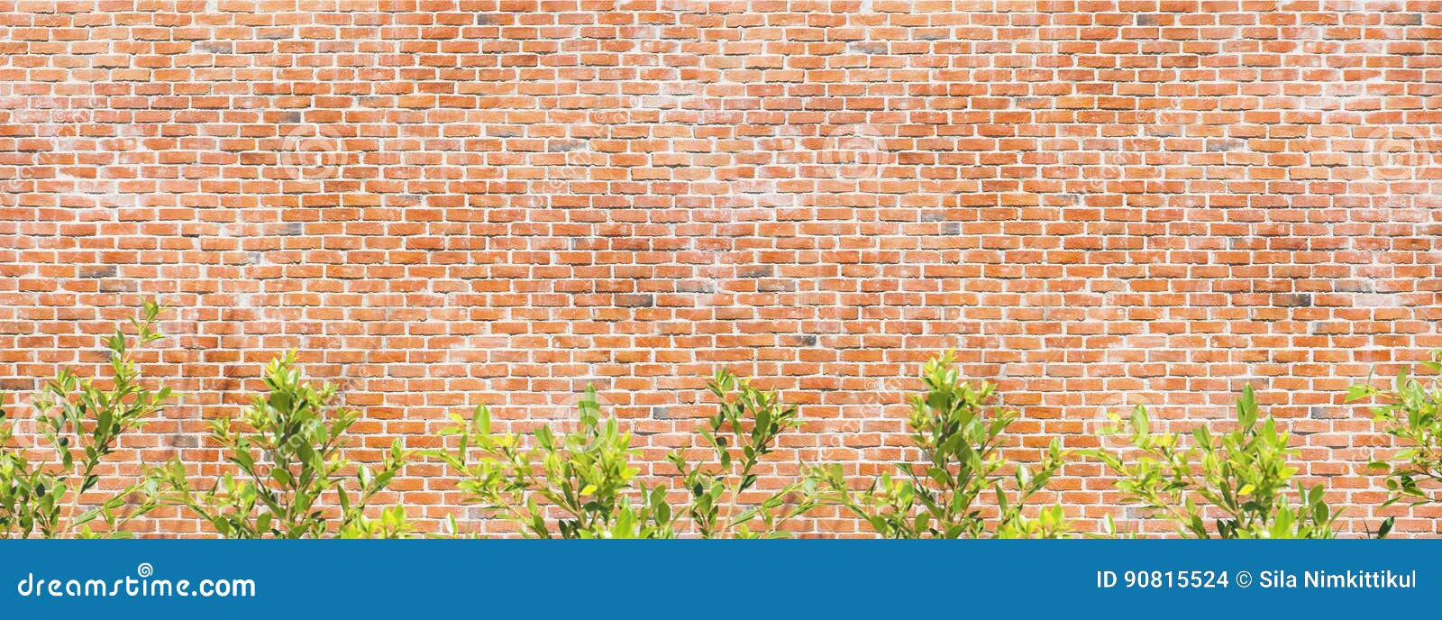 Brick Wall and Green Tree Background Stock Photo - Image of wall ...