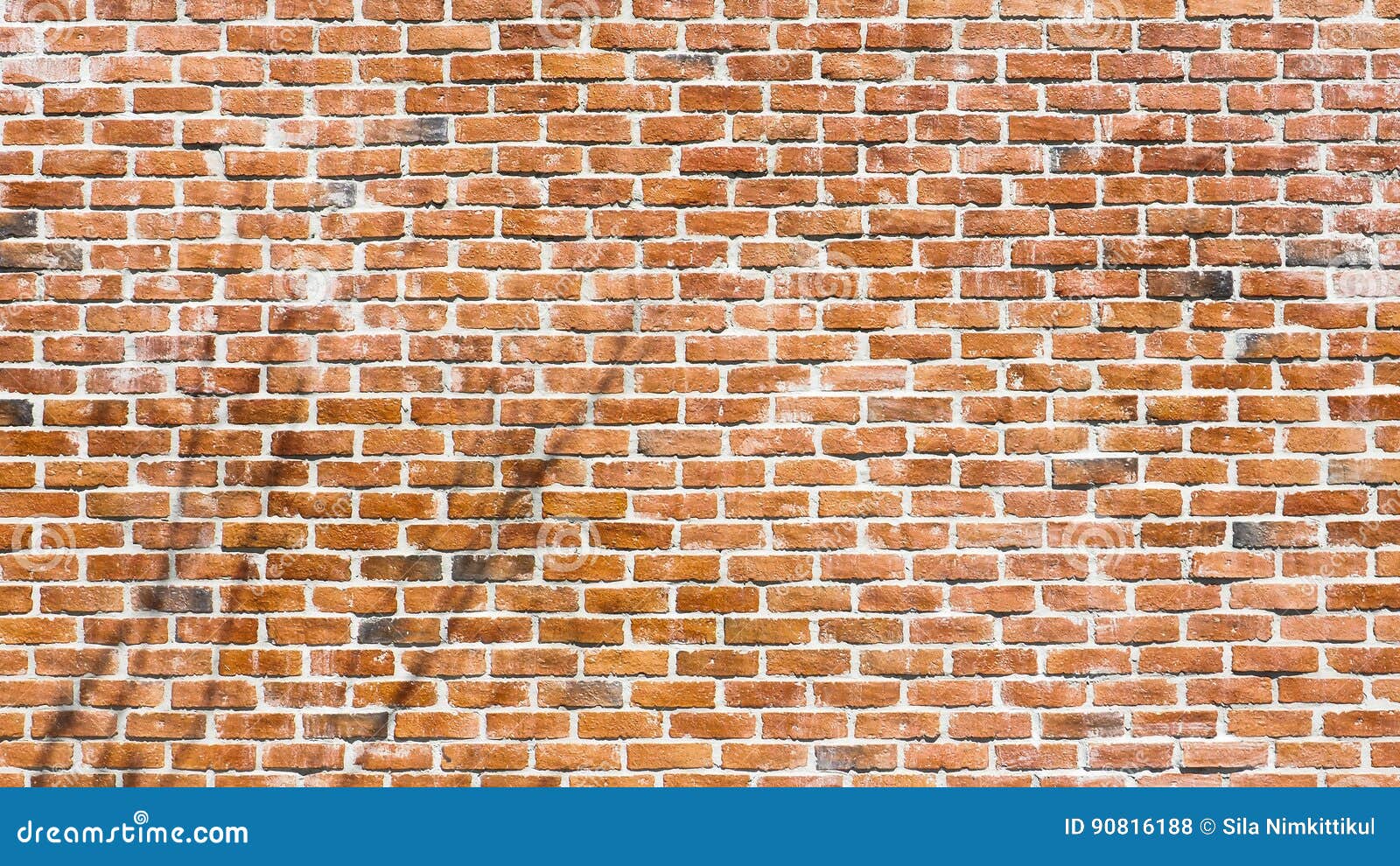 Brick Wall Has Tree Branch Light Shadow Nice Background Stock Photo ...