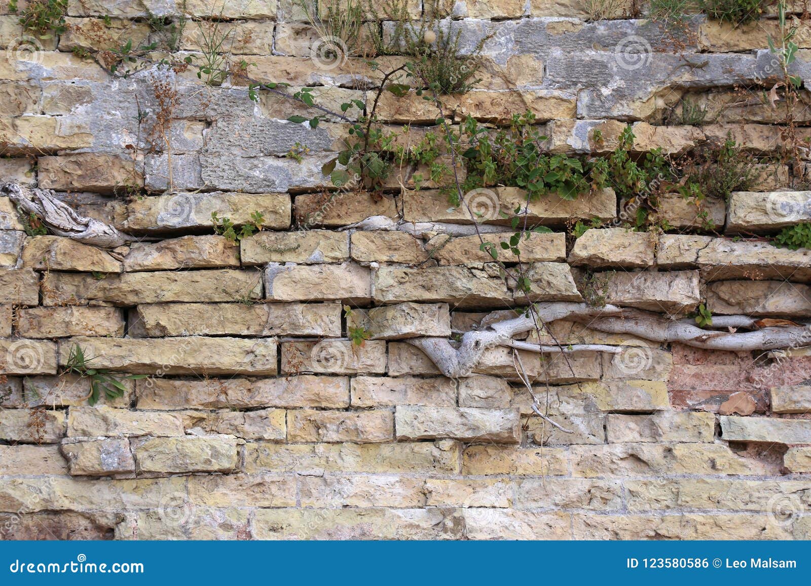 Brick wall of the house stock photo. Image of house - 123580586