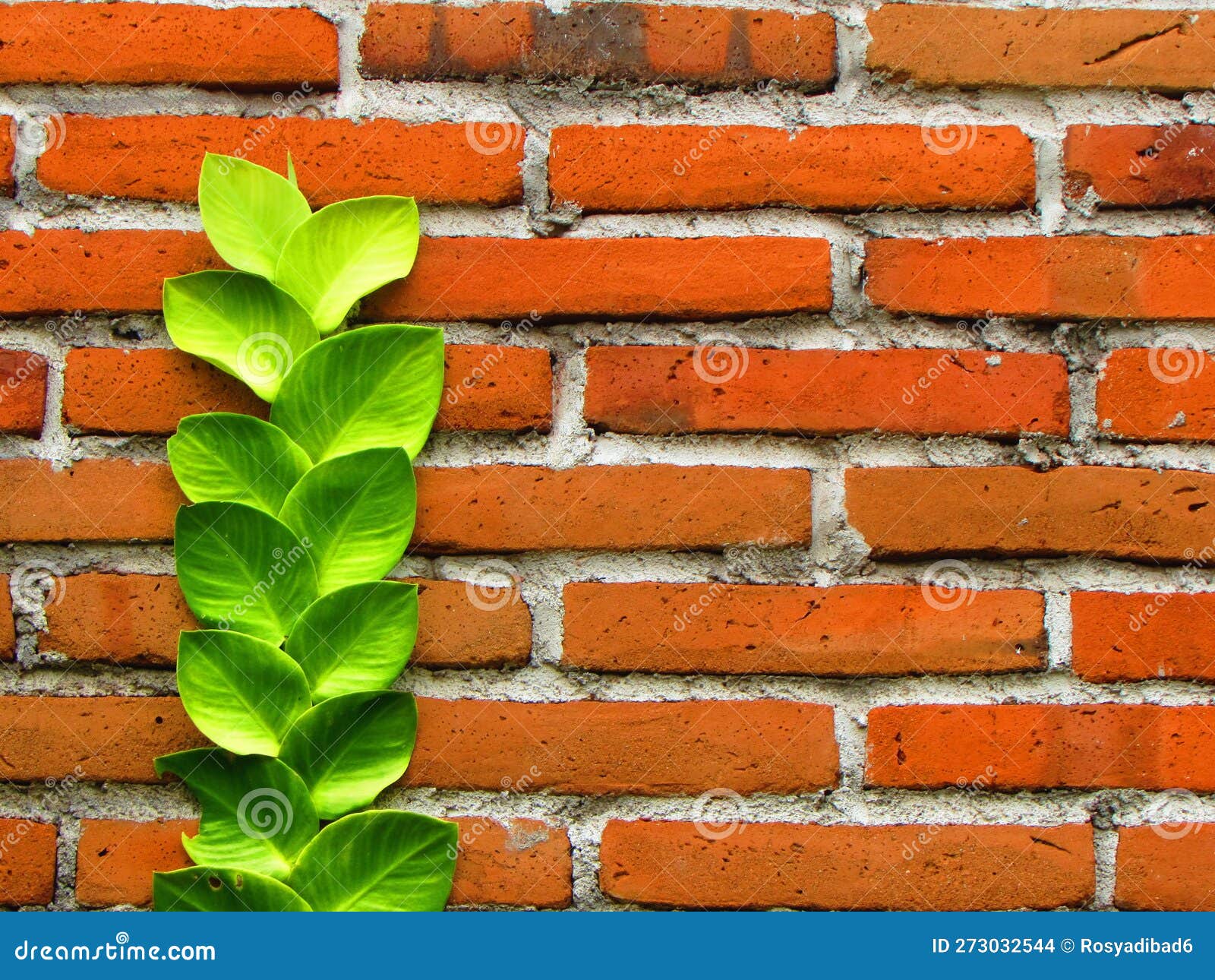 A Brick Wall with Leaves on it and a Brick Wall Stock Photo - Image of ...