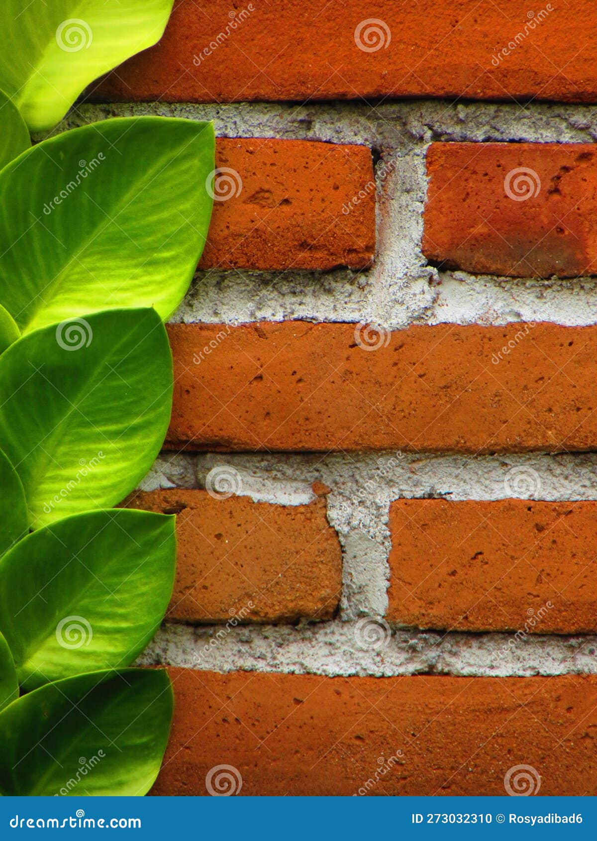 A Brick Wall with Leaves on it Stock Photo - Image of lawn, flooring ...