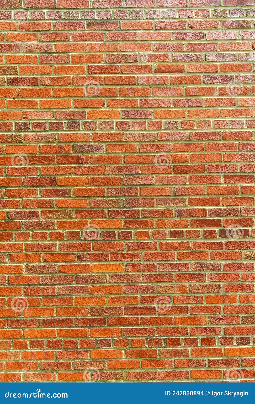 Brick Wall Made of Decorative Red Bricks Stock Photo - Image of home ...