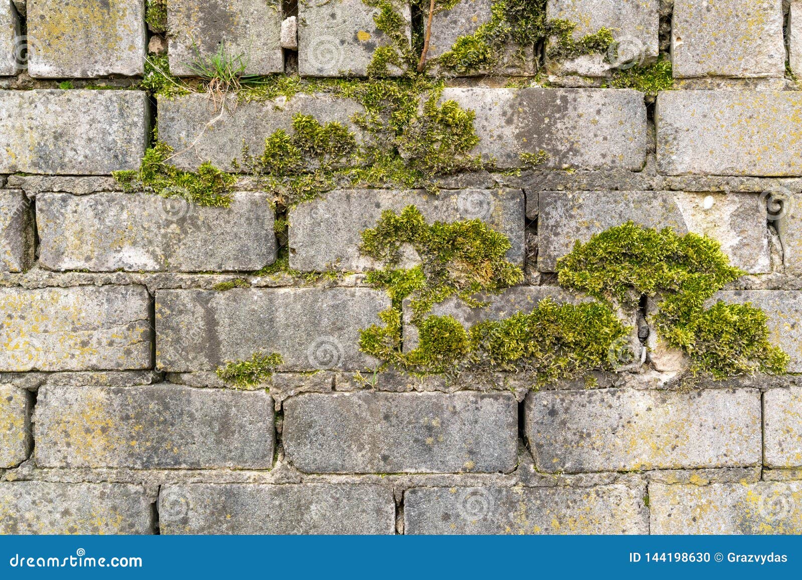 Brick wall with moss stock photo. Image of obsolete - 144198630