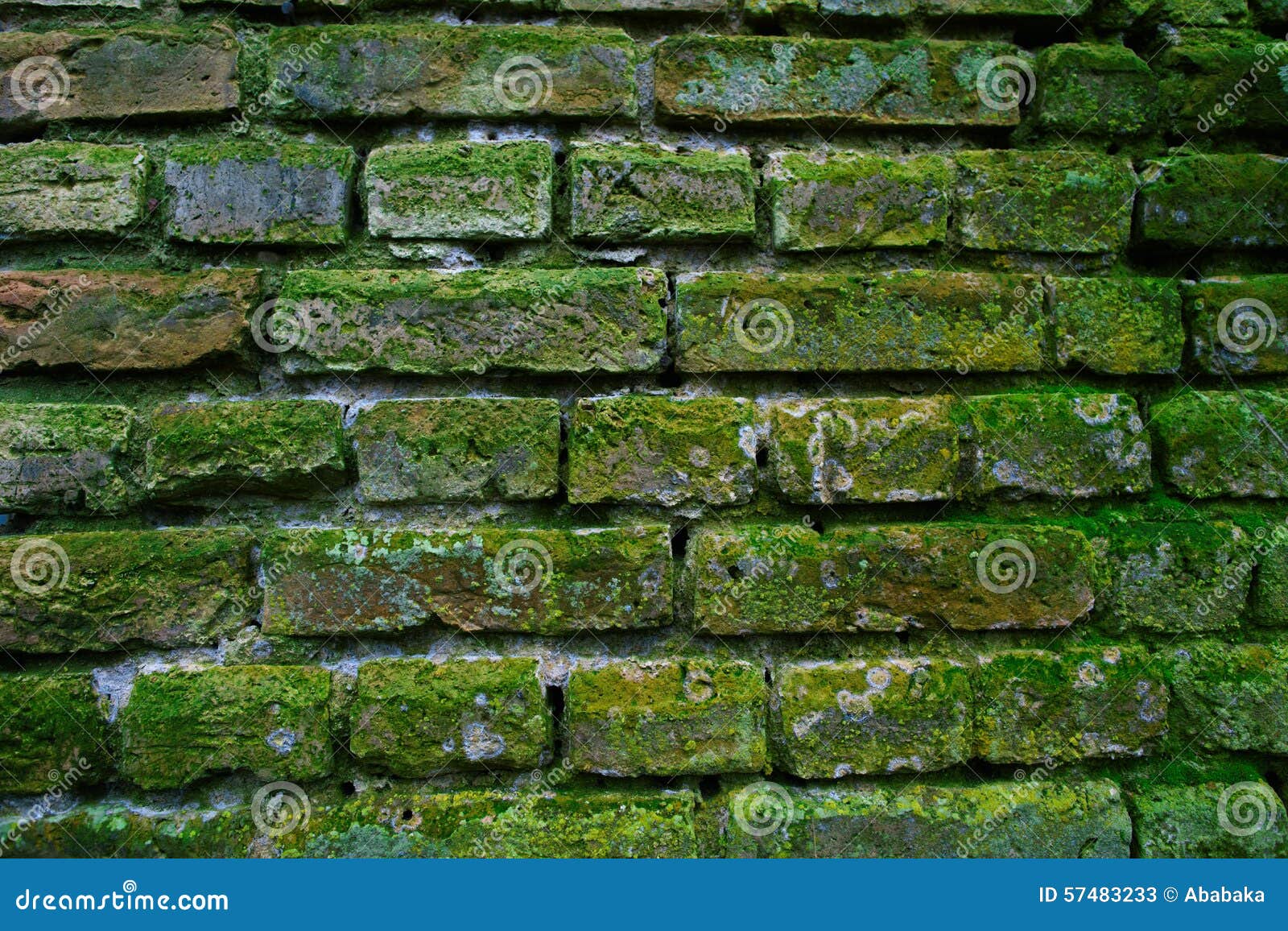 Brick wall with moss stock image. Image of block, close - 57483233