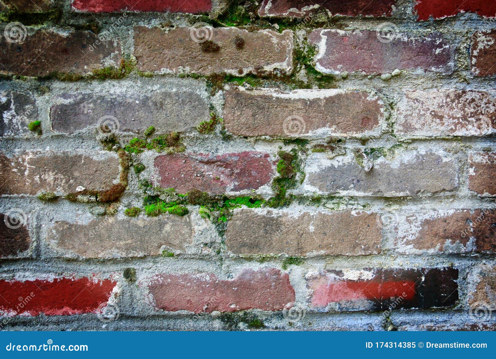 Brick wall with moss stock image. Image of brick, mortar - 174314385