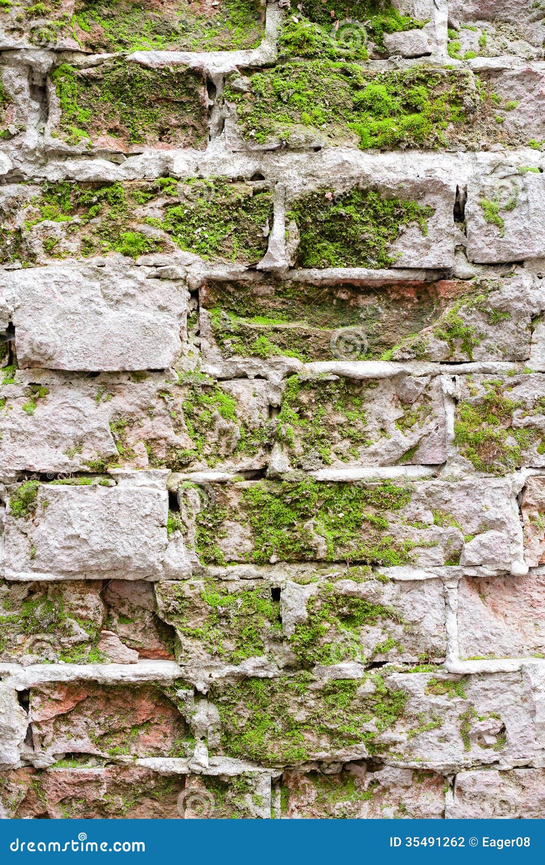 Brick Wall with Moss stock photo. Image of textures, wall - 35491262