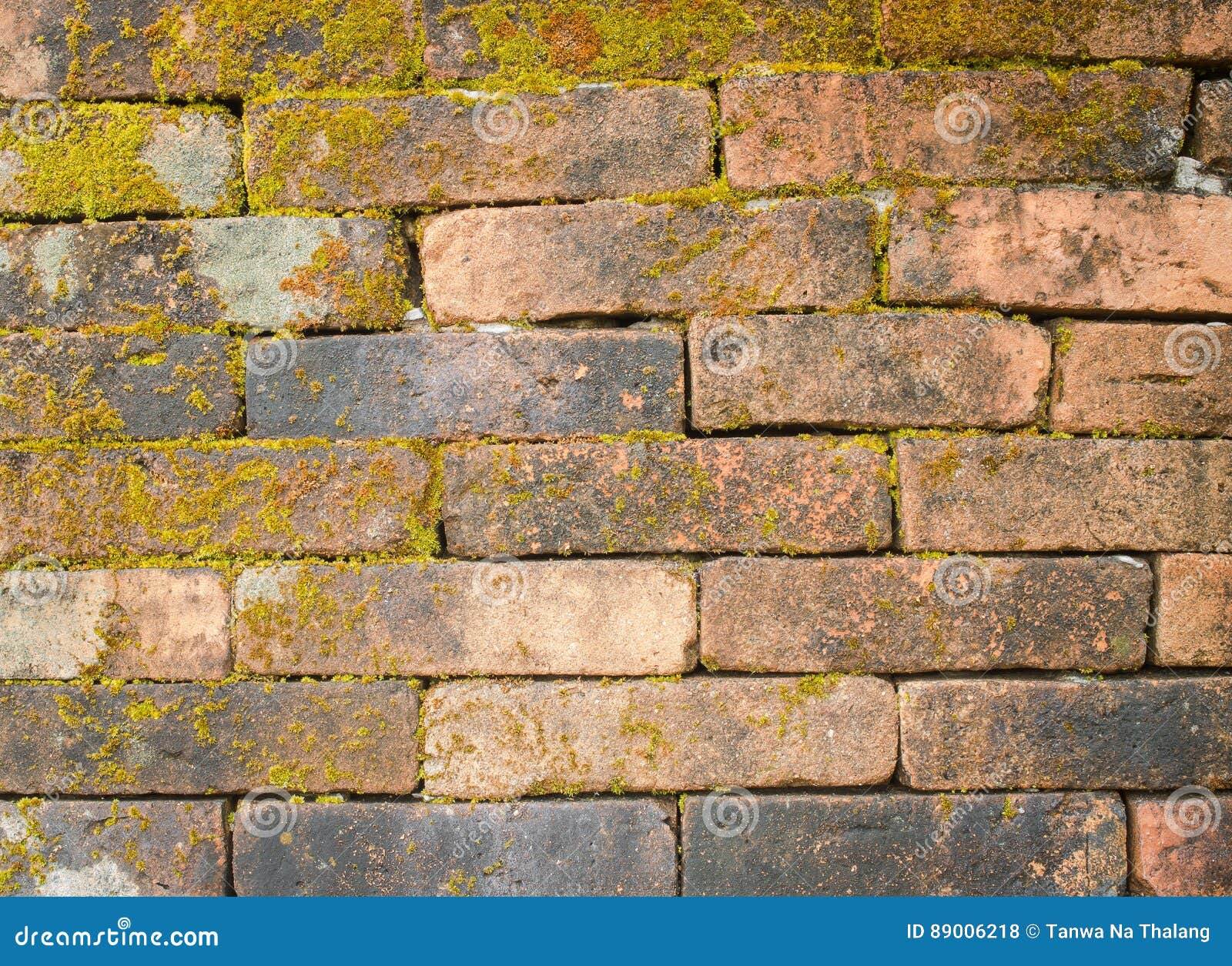 Brick Wall with Moss Texture Background Stock Photo - Image of grunge ...
