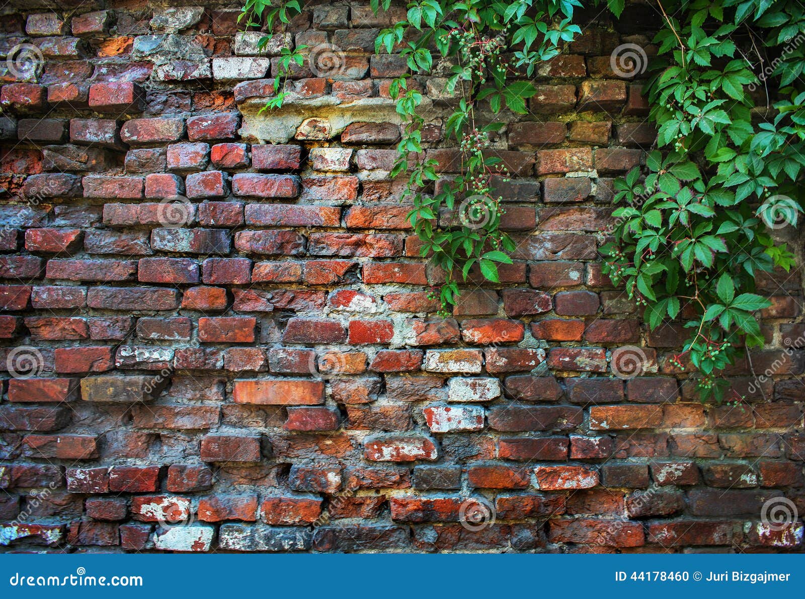Brick Wall Overgrown we Flatten Stock Photo - Image of outdoors ...
