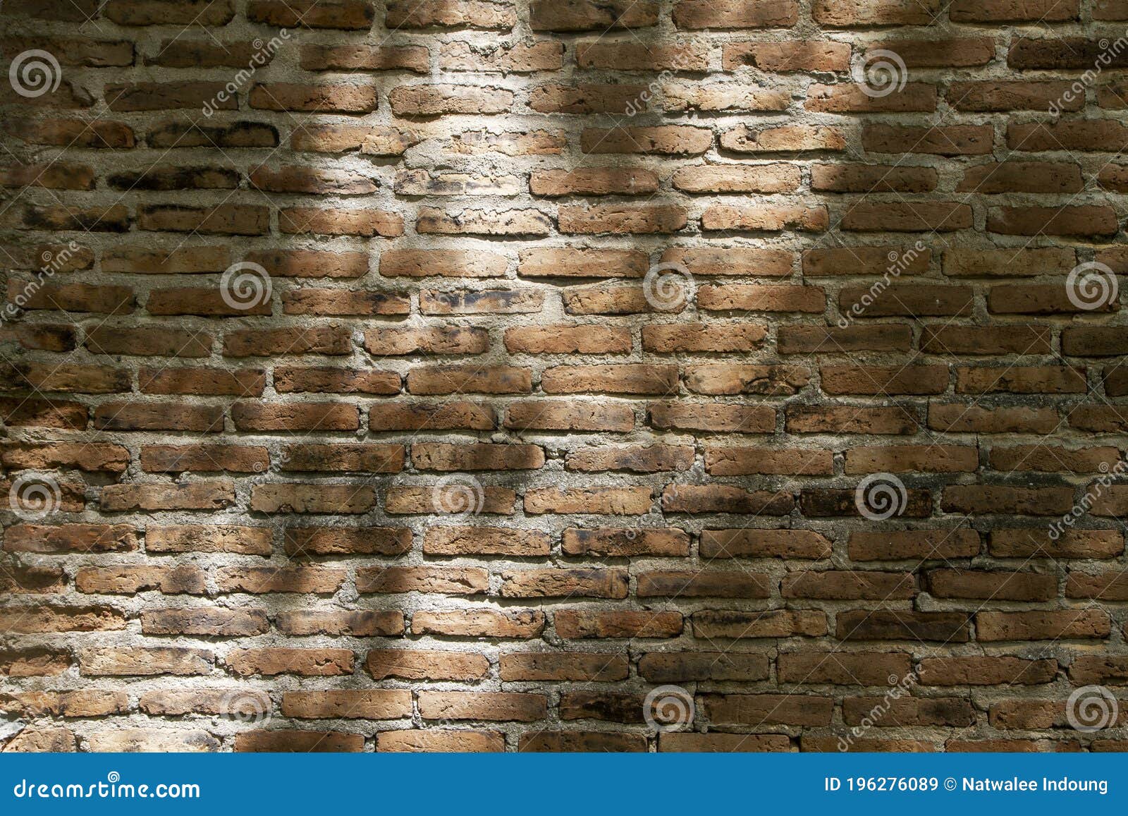 The Shadow of Plants and Sunlight Fall on Brick Wall Stock Image ...
